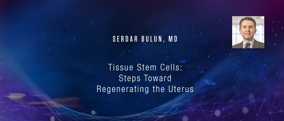 Serdar Bulun, MD - Tissue Stem Cells: Steps Toward Regenerating The Ut ...
