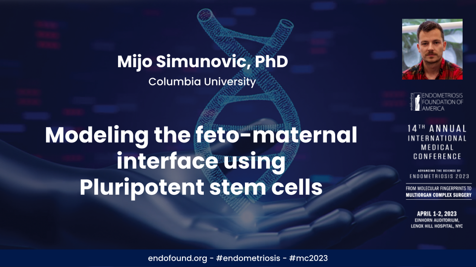 Modeling The Feto-maternal Interface Using Pluripotent Stem Cells - Mi ...