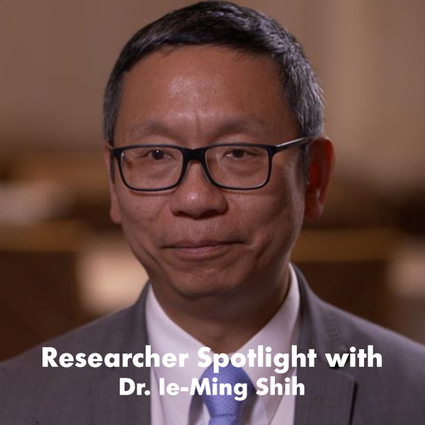 An Inside Look At Endometriosis Research: Dr. Ie-Ming Shih’s $3 Mill ...